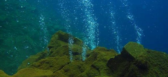 Ada Api di Dasar Laut? - Pondok Pesantren Daarut Tauhiid